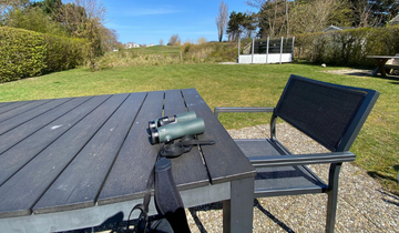 Birdwatching In Texel | Best Time To Visit Texel Netherlands